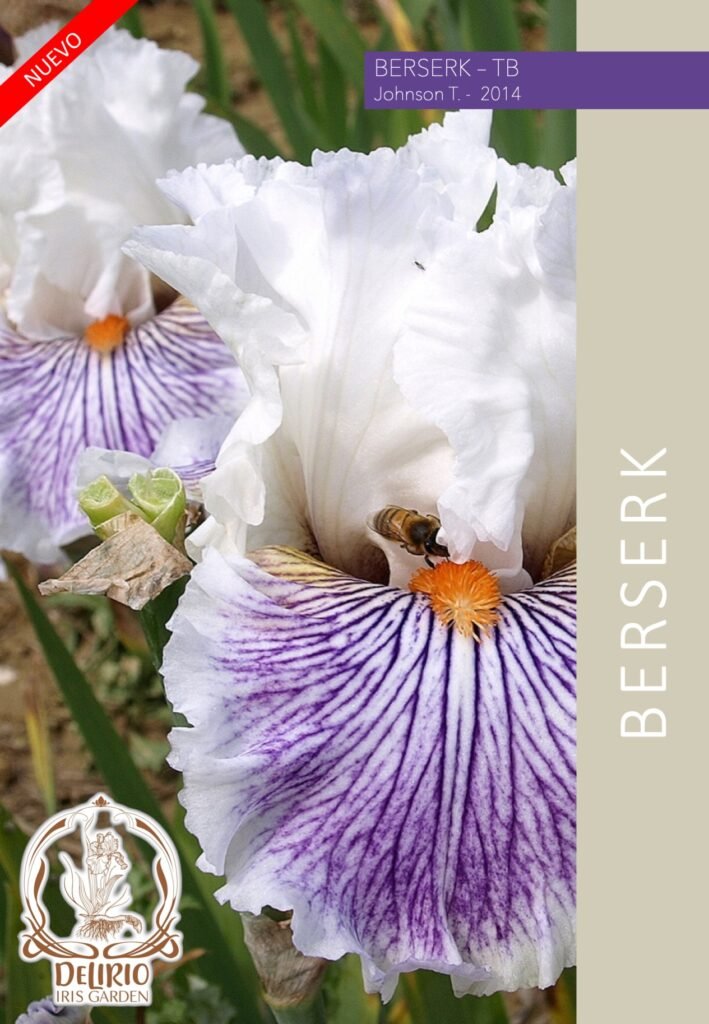 Berserk - Delirio Iris Garden