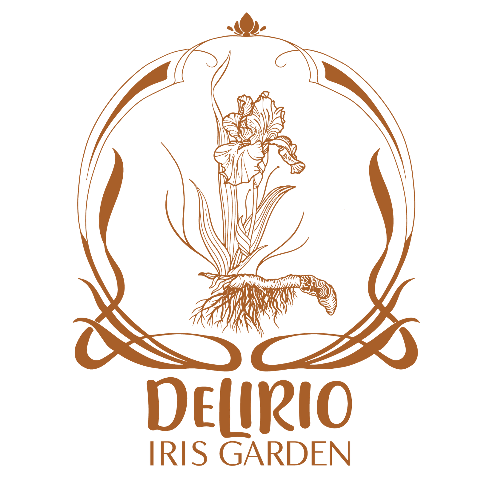 Somos - Delirio Iris Garden